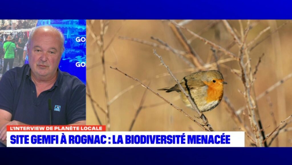 Planète locale : Philippe Chabanon (LPO) réagit au projet de Gemfi à ...