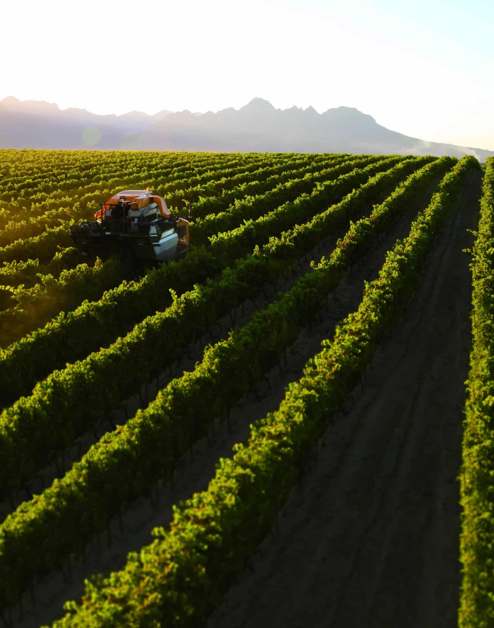 Pellenc (Pertuis) : 50 ans et une volonté d’innover intacte - Gomet'