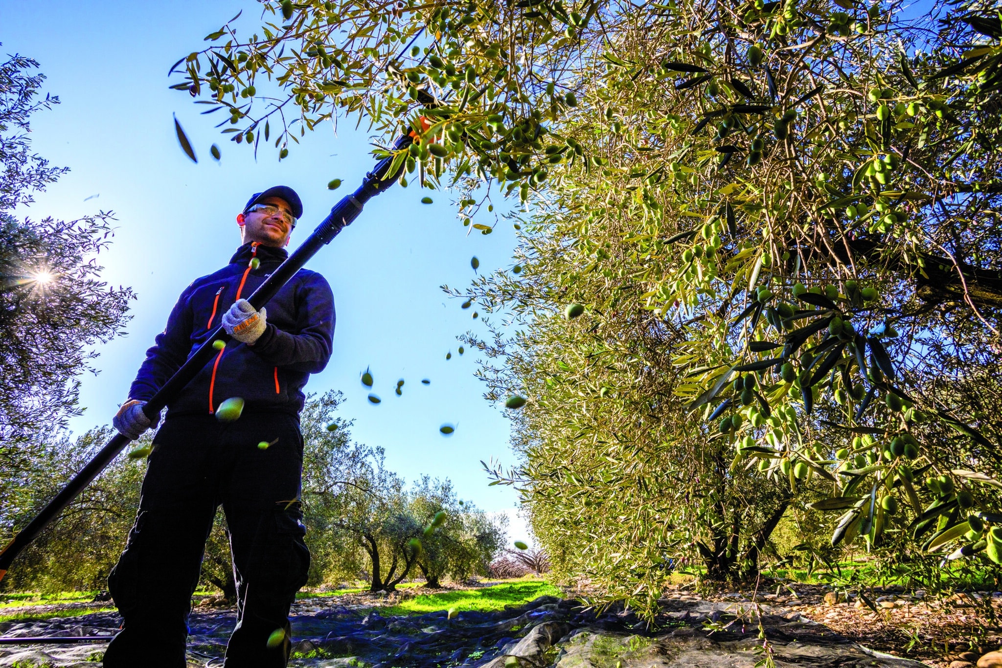 Pellenc (Pertuis) : 50 ans et une volonté d’innover intacte - Gomet'