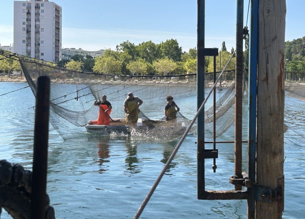 Eromer mc mirella it was neat and she provided to me a